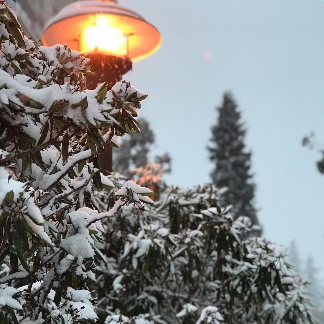 Mathew Bushuru | Gallery